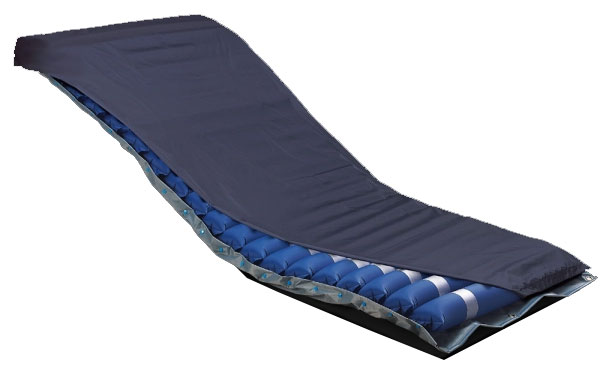 Products – Progressive Life – Culture of excellence